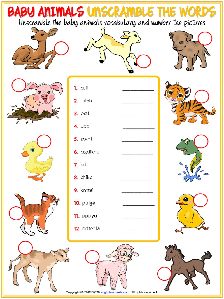 Baby Animals Vocabulary Esl Unscramble The Words Worksheet For Kids | PDF