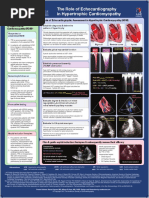 Guidelines For Chamber Quantification | PDF | Echocardiography ...