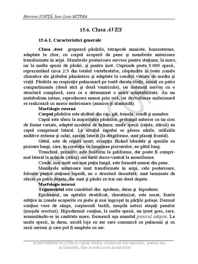 Aves - Note Curs | PDF
