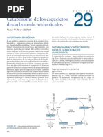 Dextrogira y Levogira | PDF | Chiralidad (Química) | Síntesis química