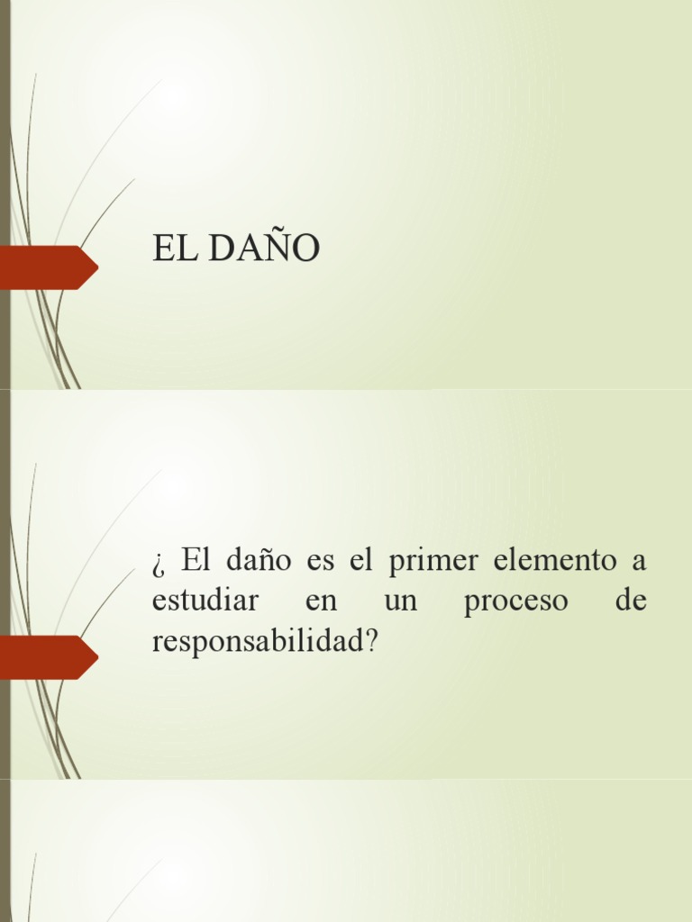 El Daño | PDF | Daños y perjuicios | Violación