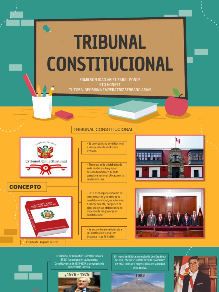 Tribunal Constitucional (Exposición) | PDF | Gobierno | Ley Pública