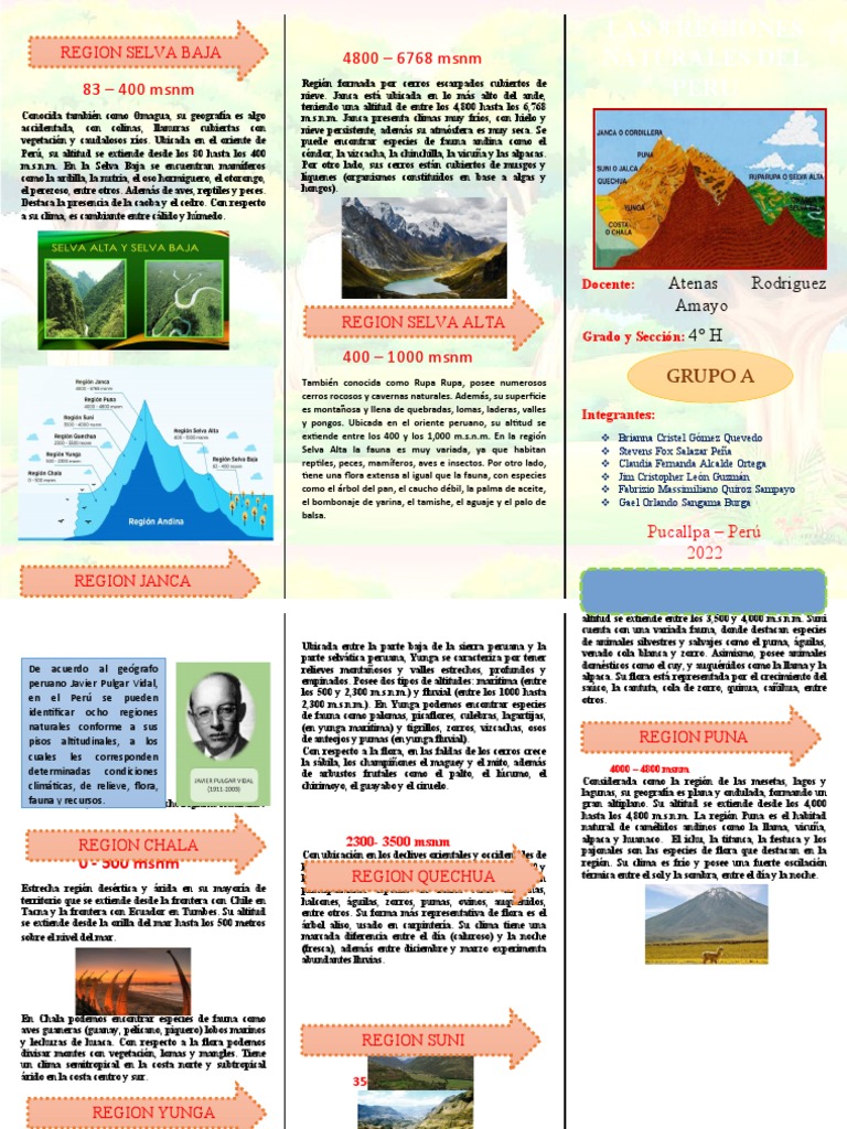 Triptico Bri | PDF