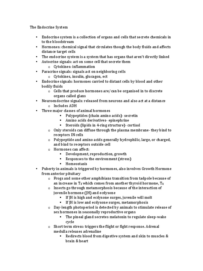Overview of Animal Endocrine System | PDF | Hormone | Endocrine System