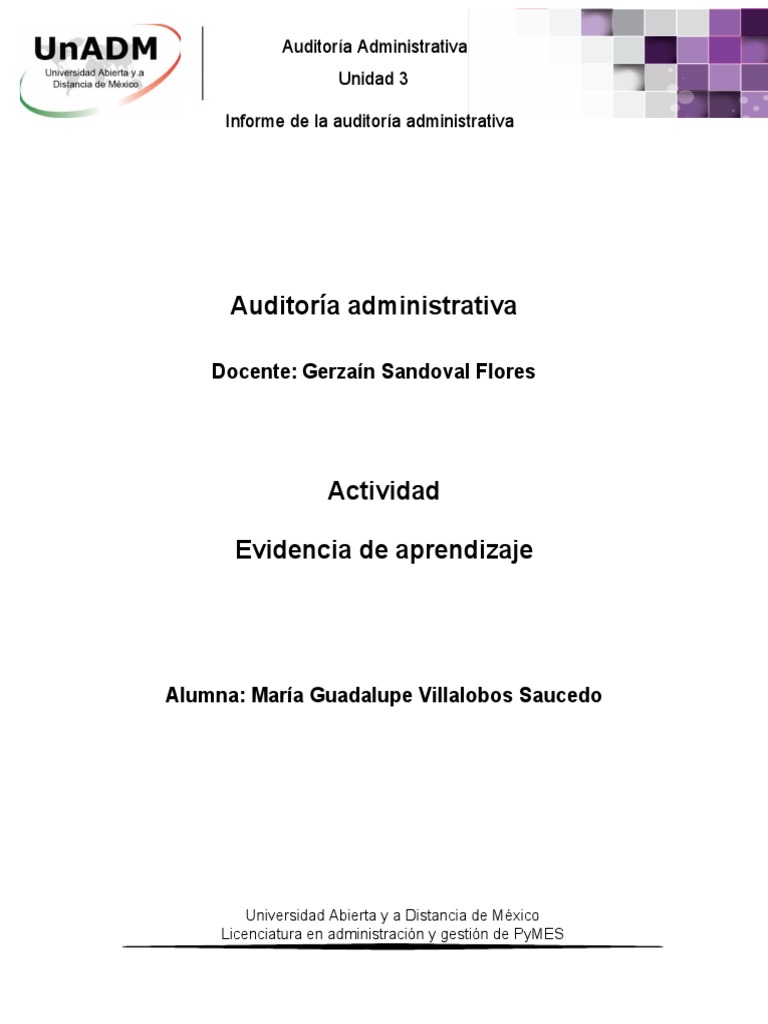 Gaad U3 Ea MGVS | PDF | Auditoría | Business