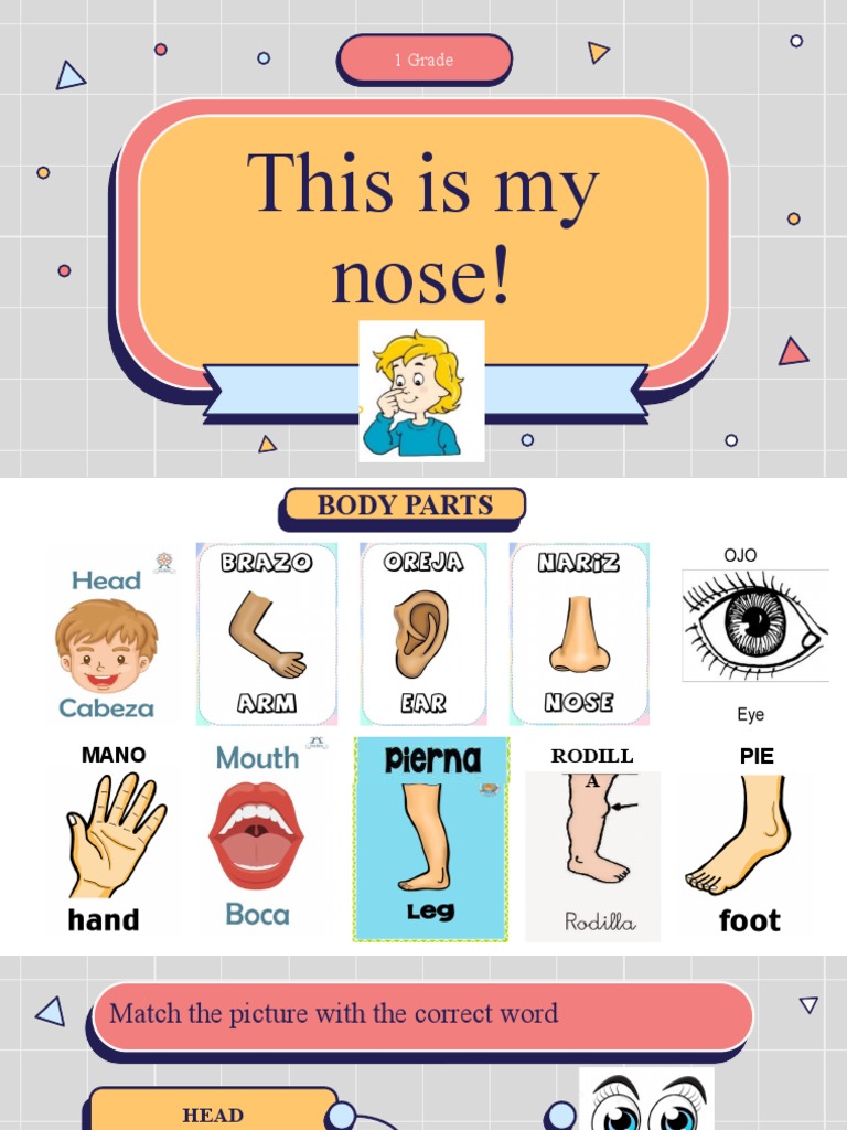 This Is My Nose | PDF