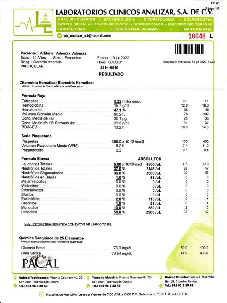 Estudios Adilene | PDF