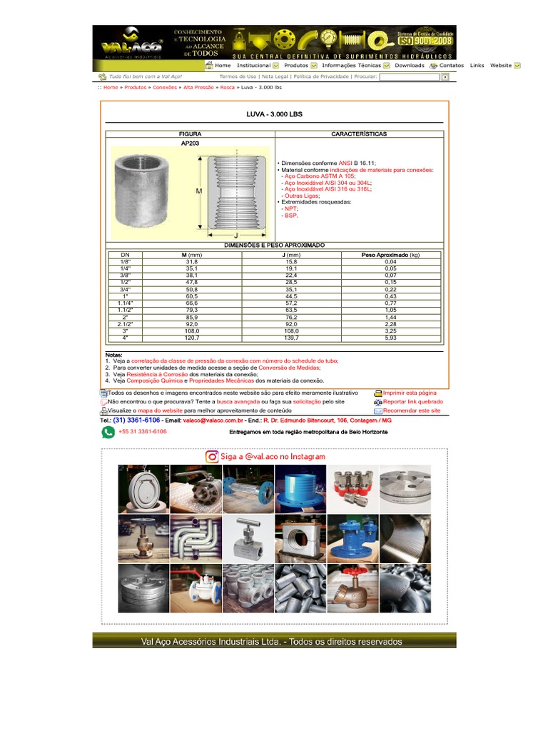 Luva 3000 Lbs Rosca BSP | PDF | Aço | Química