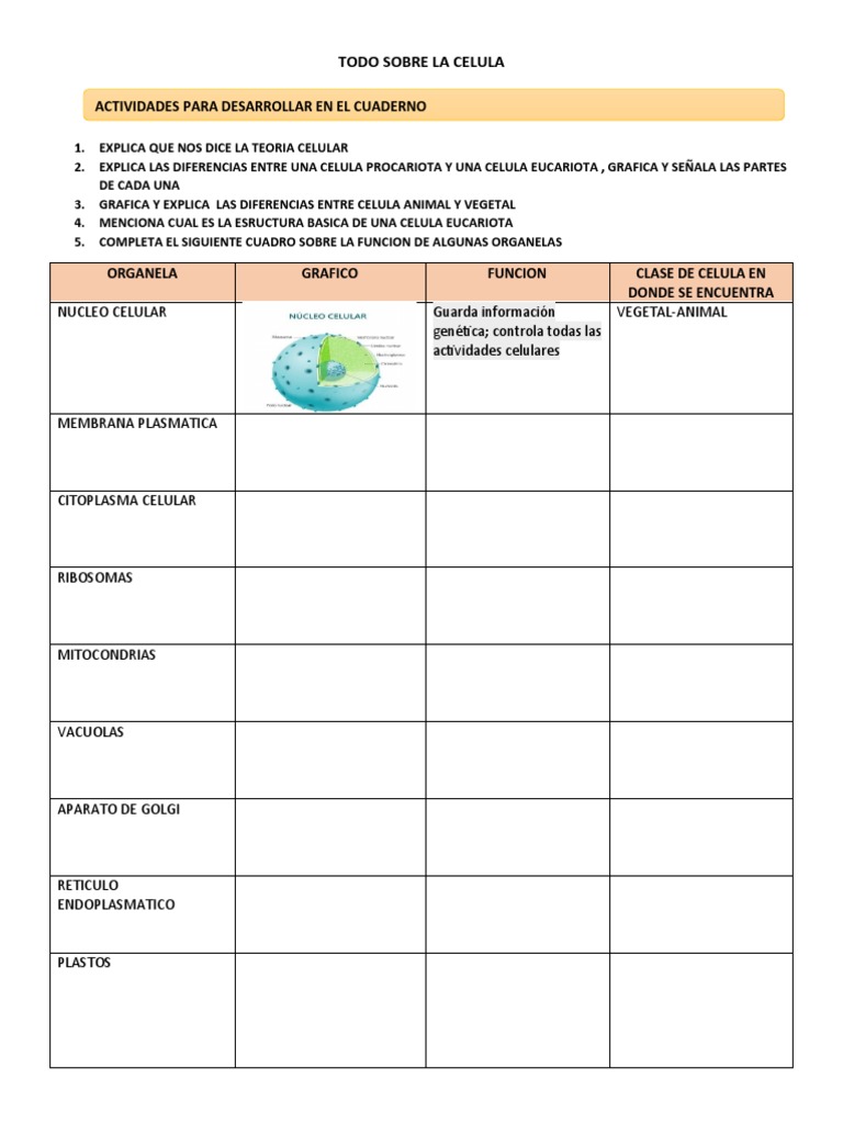 Tarea Sobre La Celula | PDF