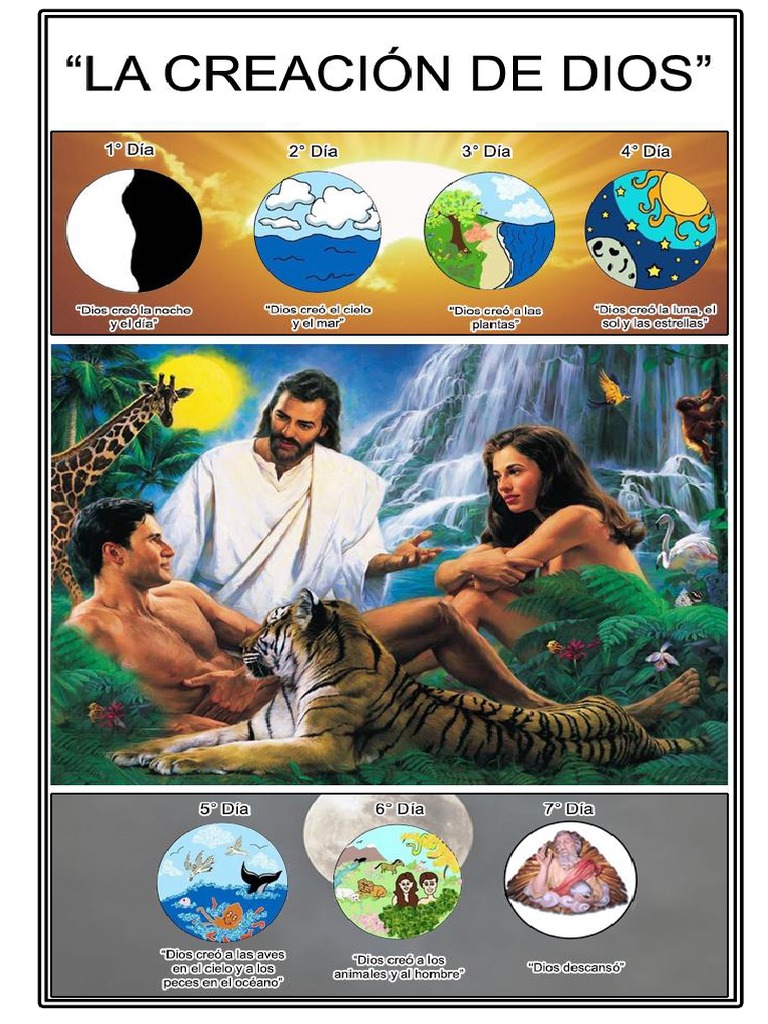 Infografía sobre la Creación de Dios | PDF | Amor