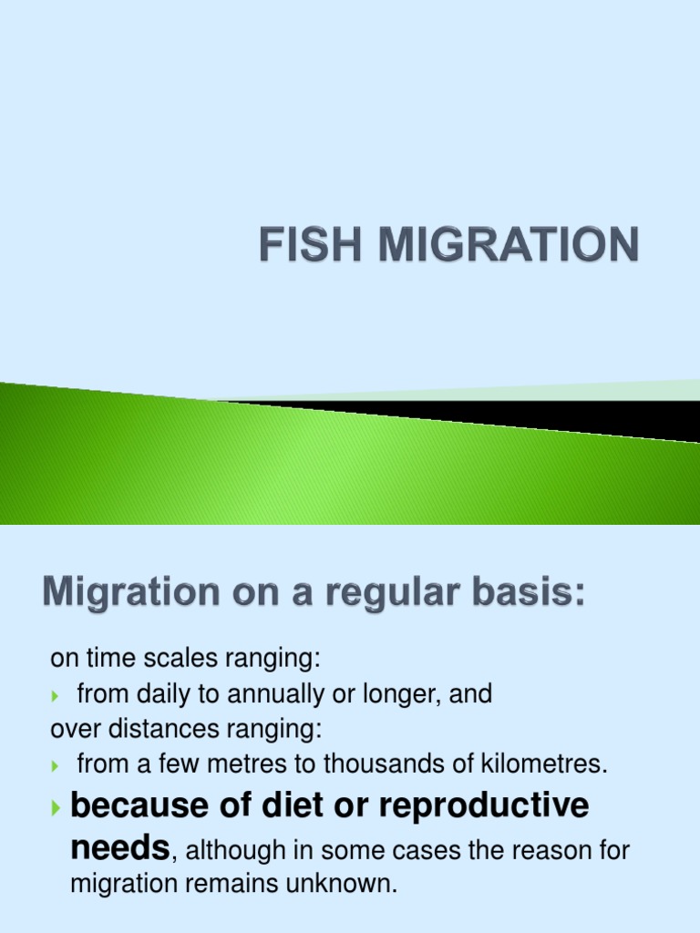 5 Fish migration | PDF | Oceanography | Fish