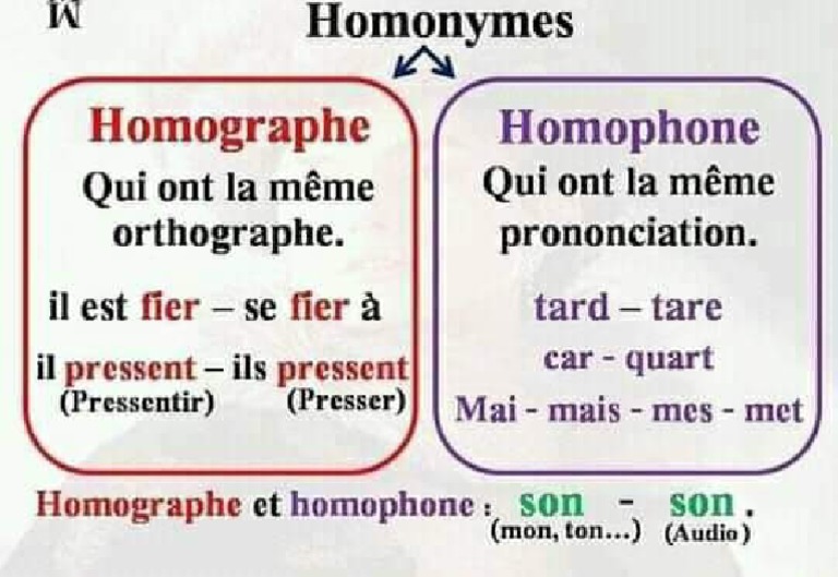 Homographe Homophone | PDF