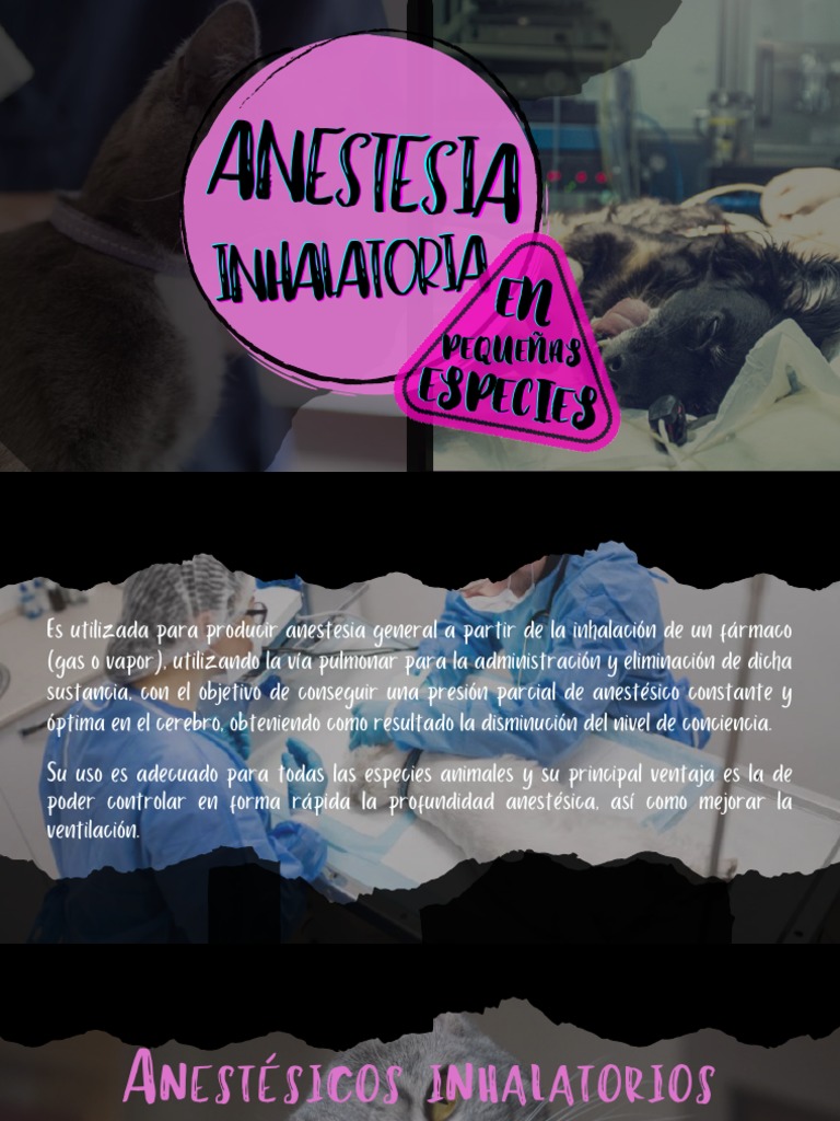 Anestesia Inhalada | PDF | Anestesia | Gases