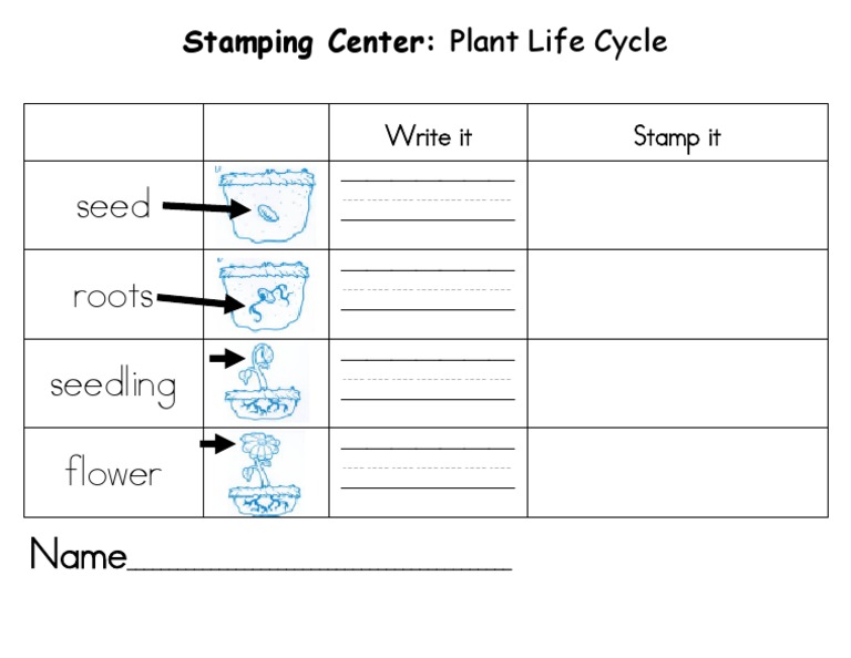 Plant Stamping | PDF