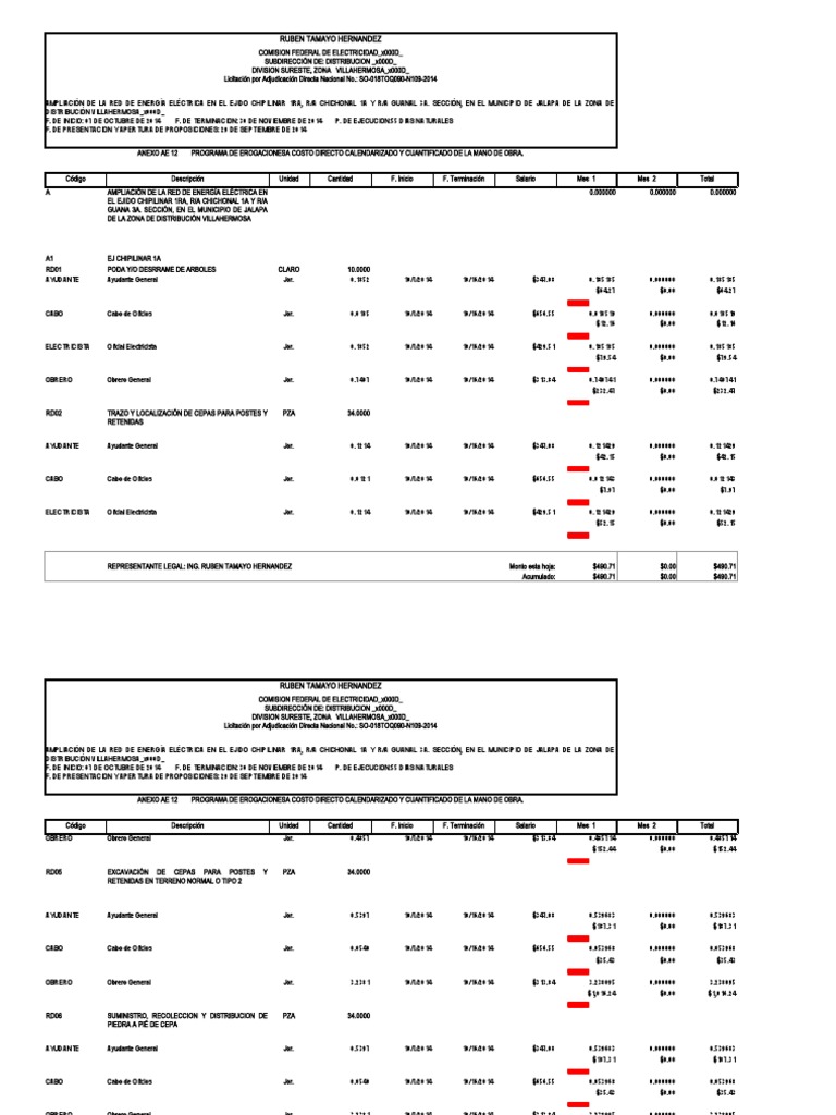 AE 12 Programa de Mano de Obra | PDF | Naturaleza | Cantidades fisicas