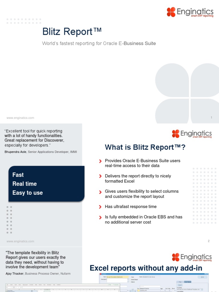 Blitz Report™ | PDF | Microsoft Excel | Sql