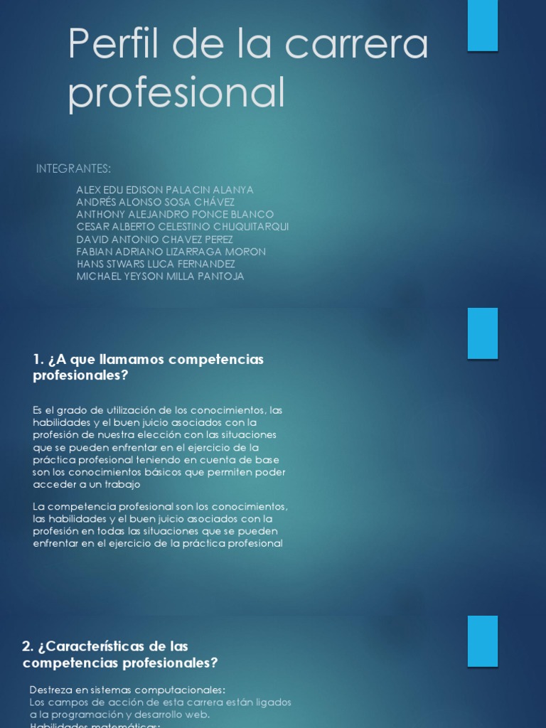 Perfil de la carrera profesional | PDF