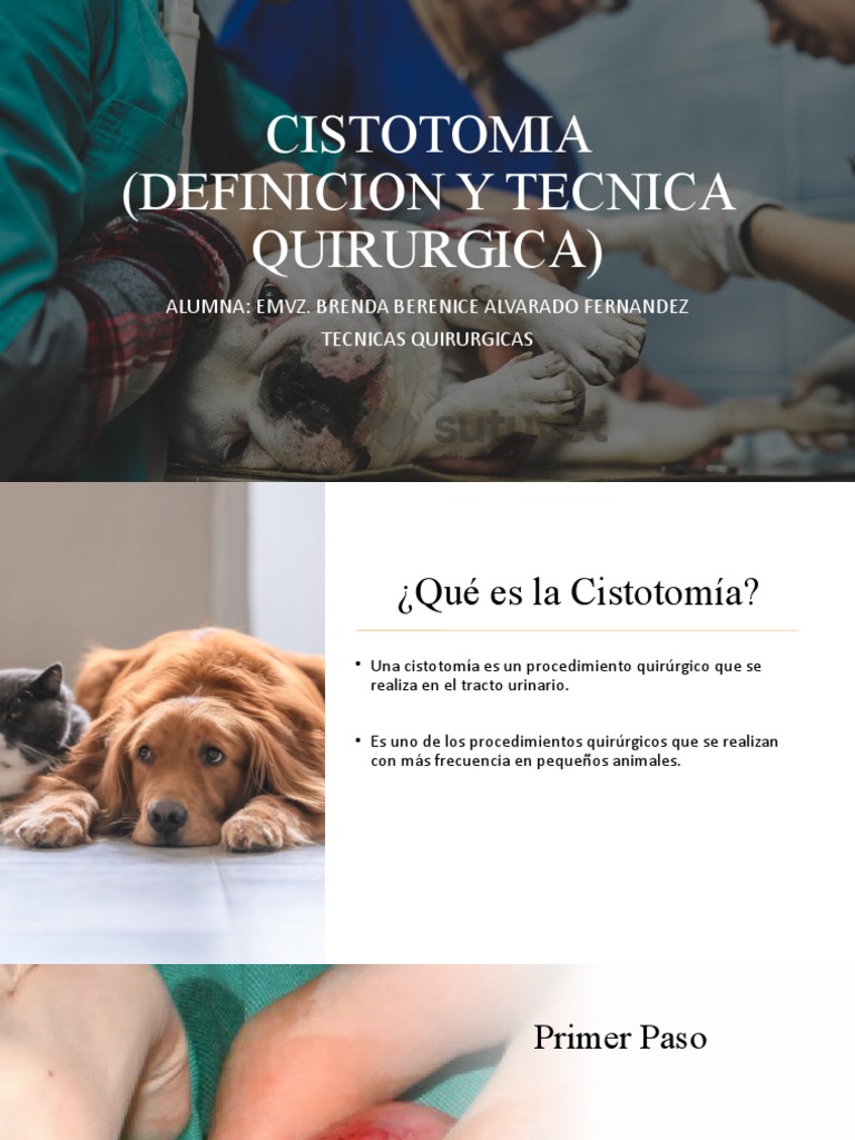Cistotomía: Técnica Quirúrgica Detallada | PDF