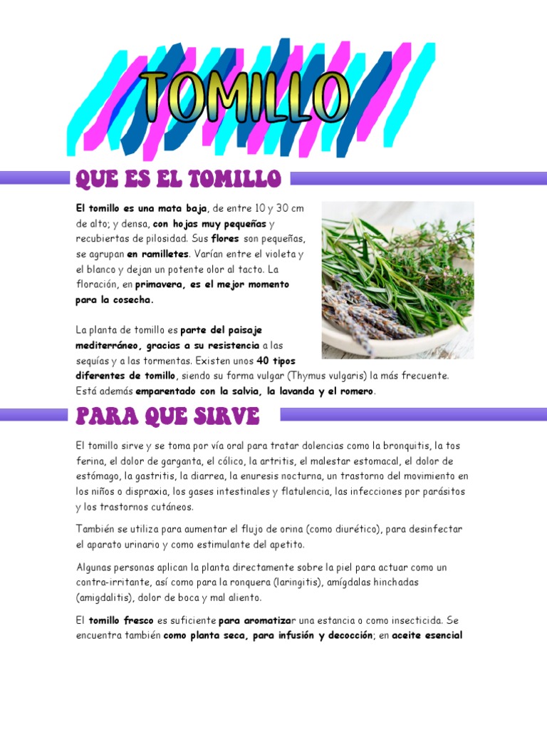 TOMILLO | PDF | Suelo | Agua