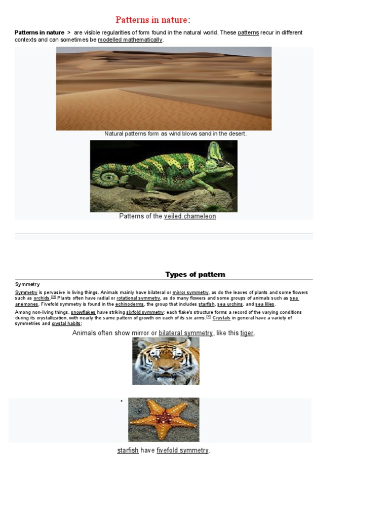Patterns in Nature | PDF | Pattern