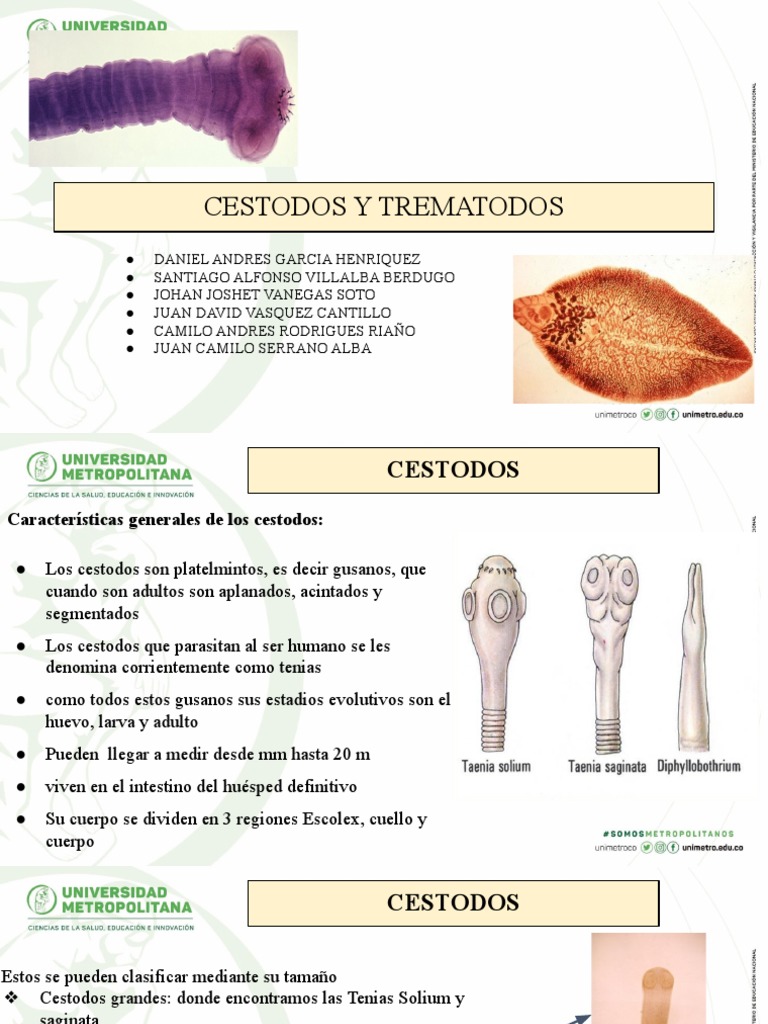 Exposicion Cestodos y Trematodos | PDF | Enfermedades y trastornos ...