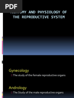 Reproductive System Practical Report | PDF | Menstrual Cycle | Testicle