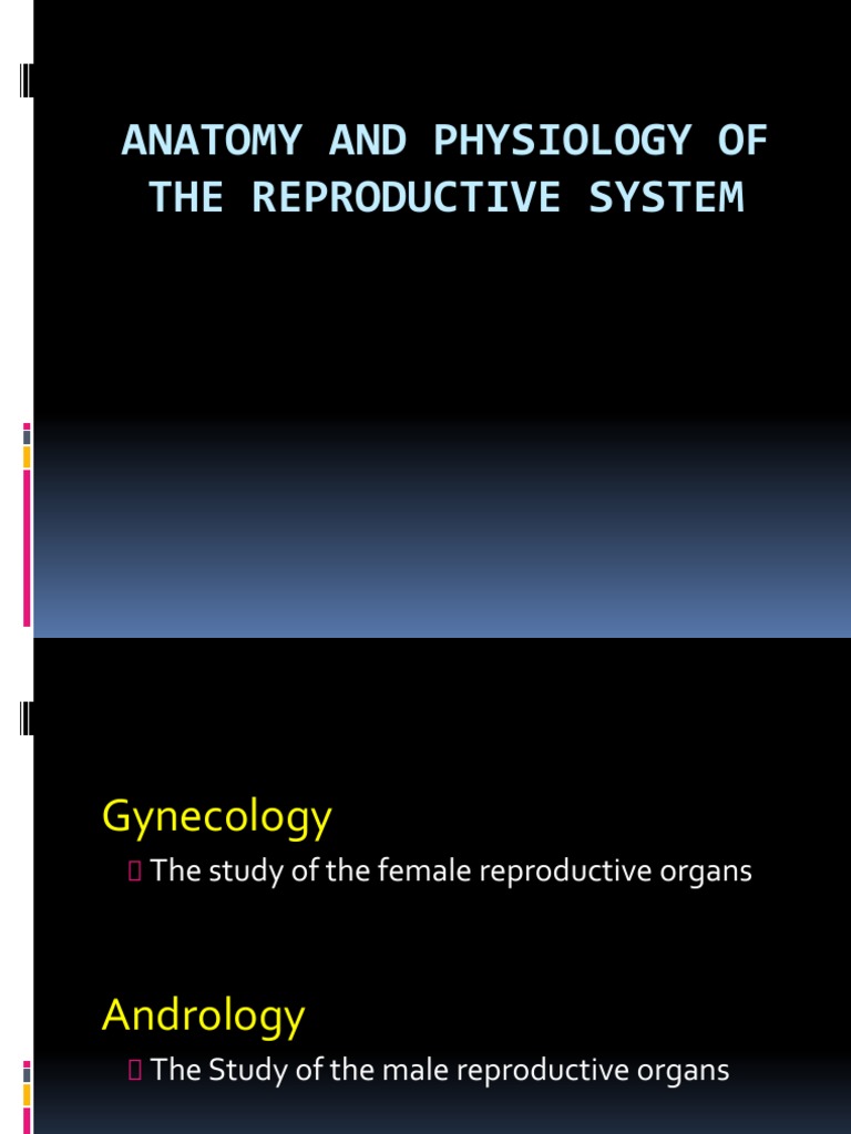 Anatomy and Physiology of The Reproductive System | PDF | Testicle ...