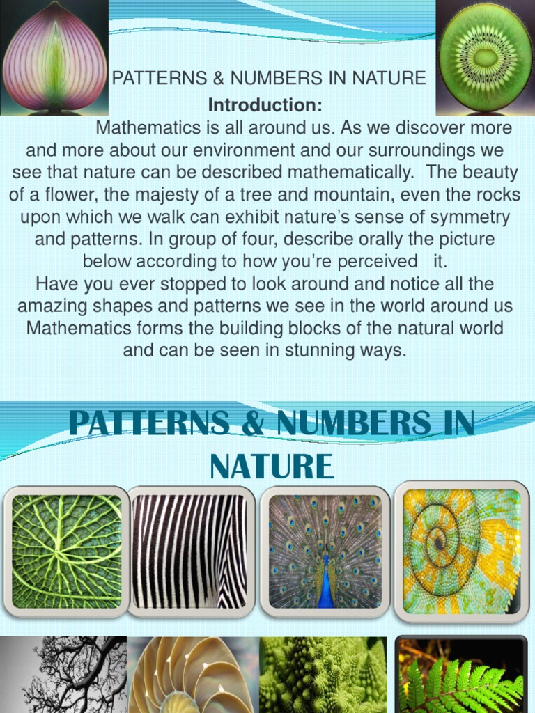 Power Point in Pattern in Nature | PDF | Pattern | Fractal