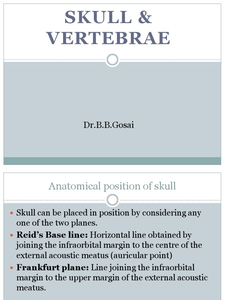 Anatomy of Skull: Norma Verticalis Overview | PDF | Skull | Anatomy