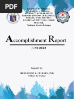 SSG Narrative and Pictorial Report Template | PDF