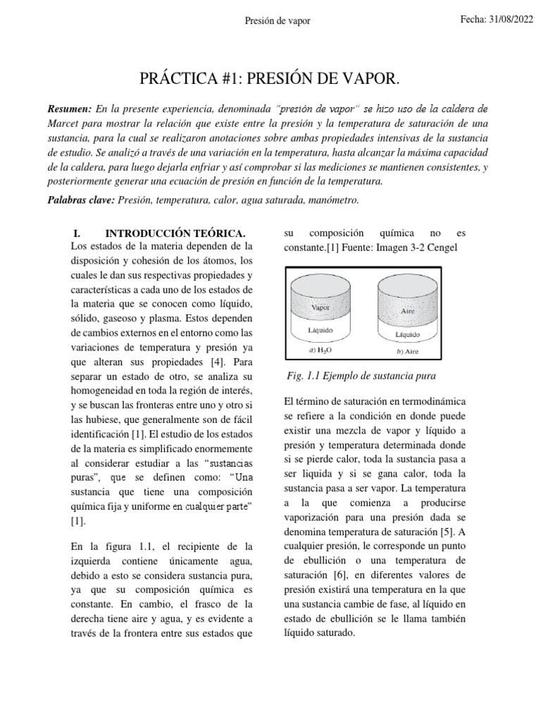 Termodinamica Presion y Vapor | PDF | Vapor | Líquidos