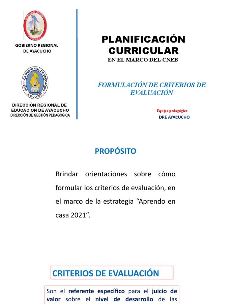 Formular Criterios de Evaluación 2021 | PDF | Evaluación | Cognición