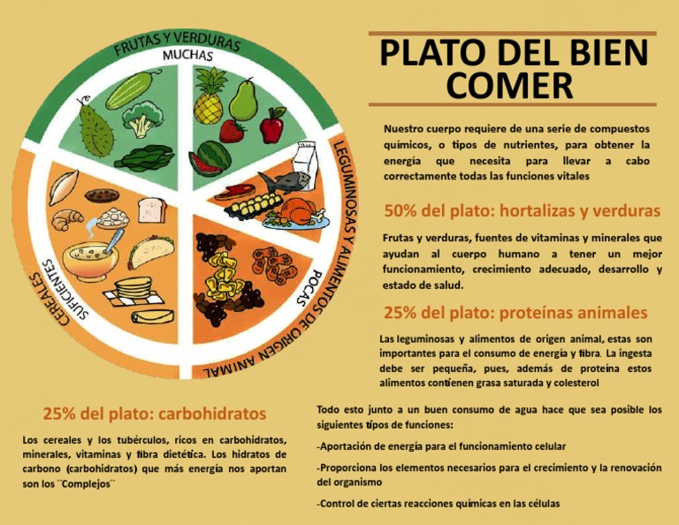 Plato B | PDF | Alimentos | Carbohidratos