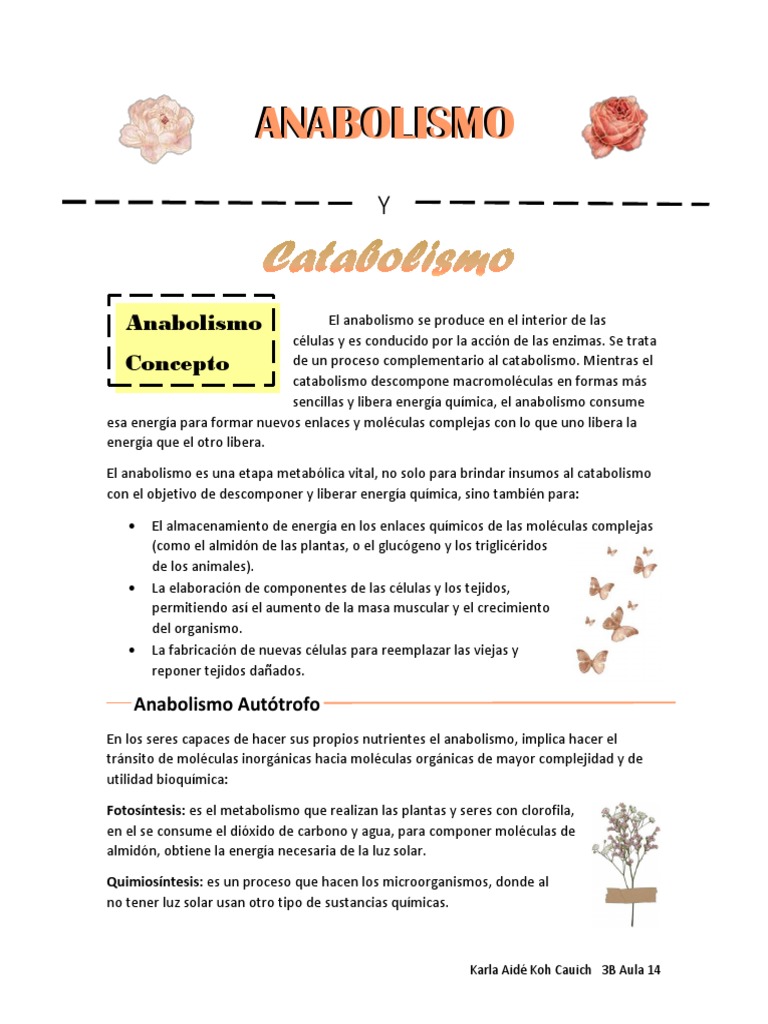Metabolismo: Anabolismo y Catabolismo | PDF | Trifosfato de adenosina ...