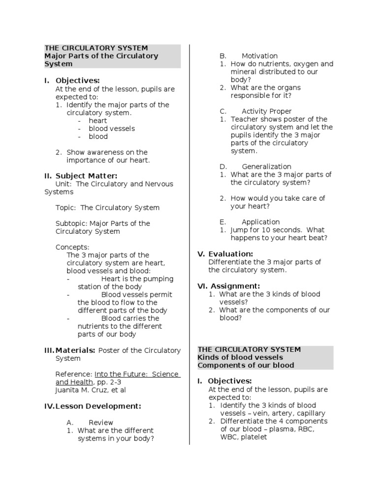 Circulatory System Basics | PDF | Circulatory System | Blood Vessel