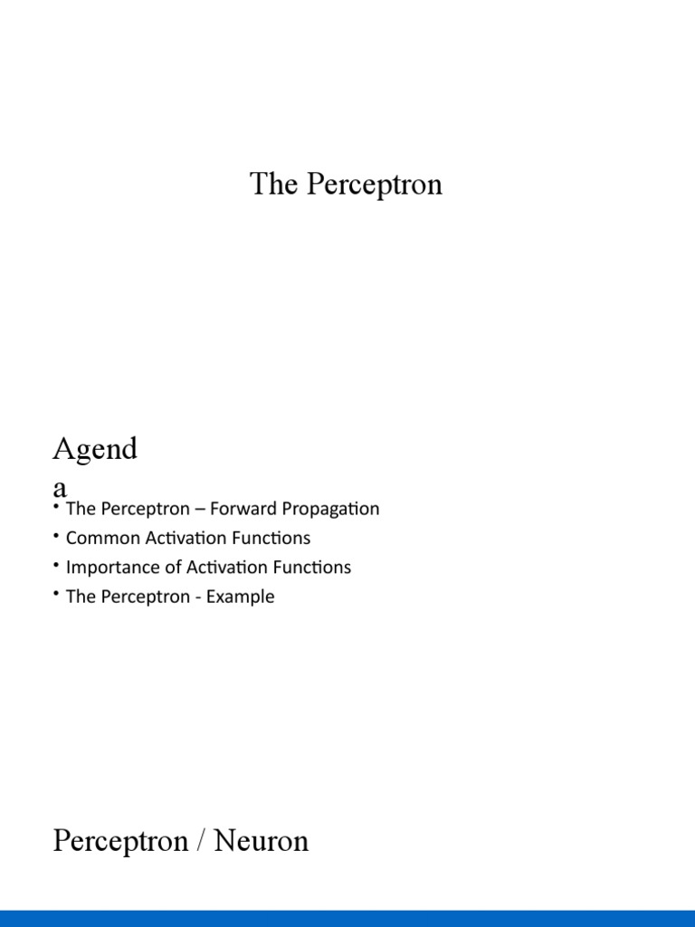 The Perceptron | PDF