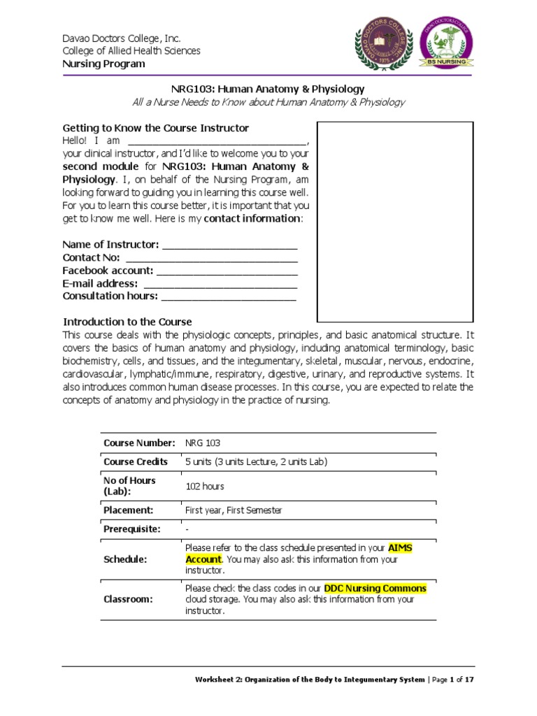 Worksheet 2 - Organization of The Body + Integumentary | PDF ...