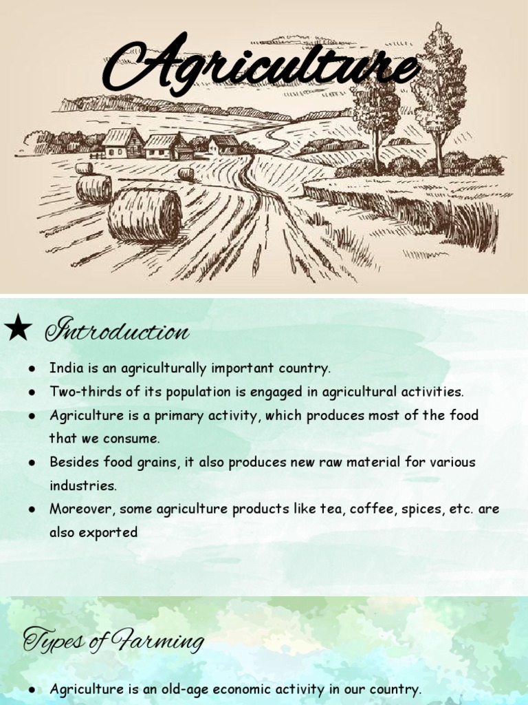 Agriculture | PDF | Agriculture | Rice