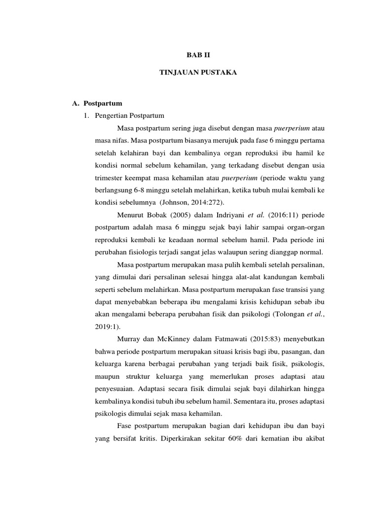 BAB - II - ERMA - RAHMAWATI - C2013046 - Ermarahma Wati Post Partum | PDF