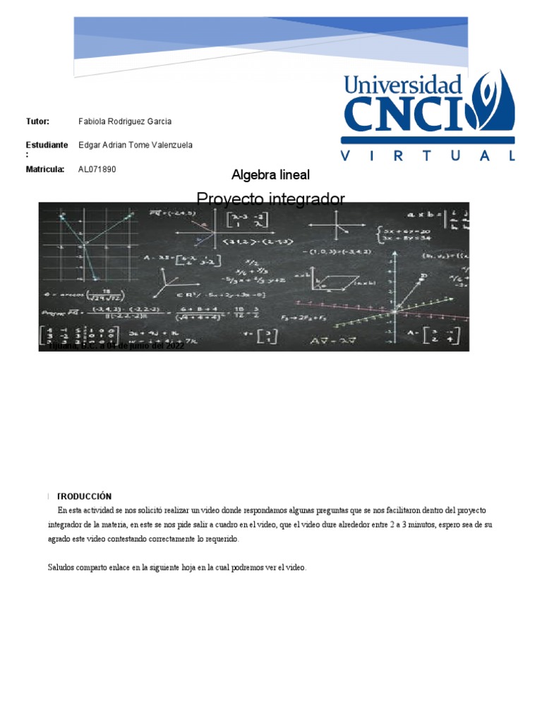 Proyecto Integrador Algebra Lineal | PDF