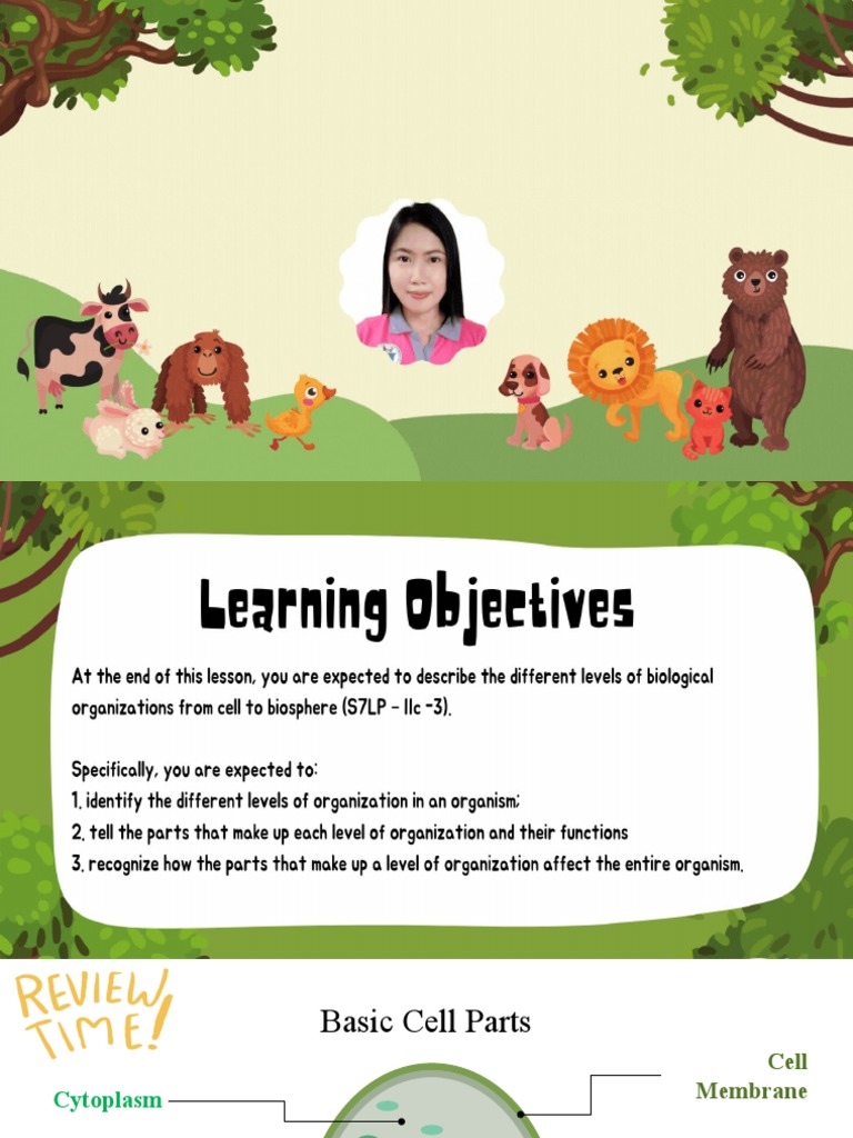 Cell To Biosphere | PDF | Tissue (Biology) | Organisms