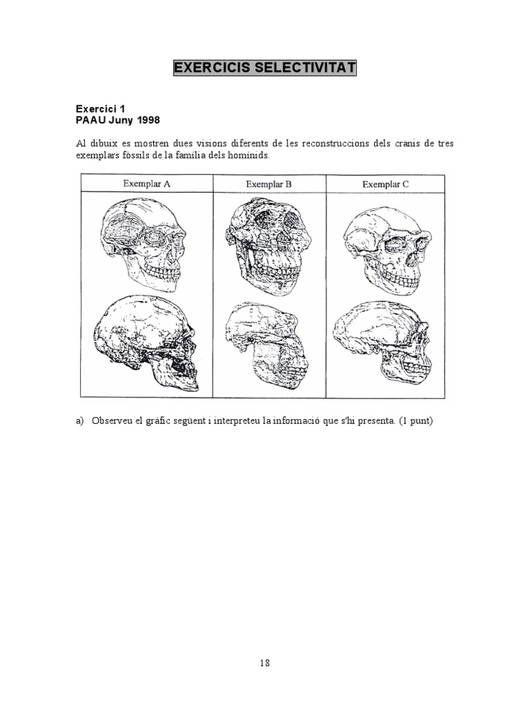 3 Exercicis Selectivitat | PDF