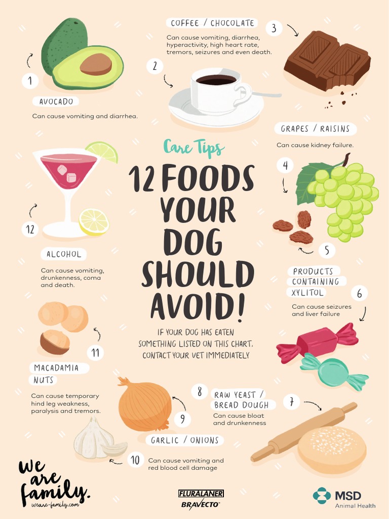 12 - Foods - Your - Dog - Should - Avoid - PH | PDF