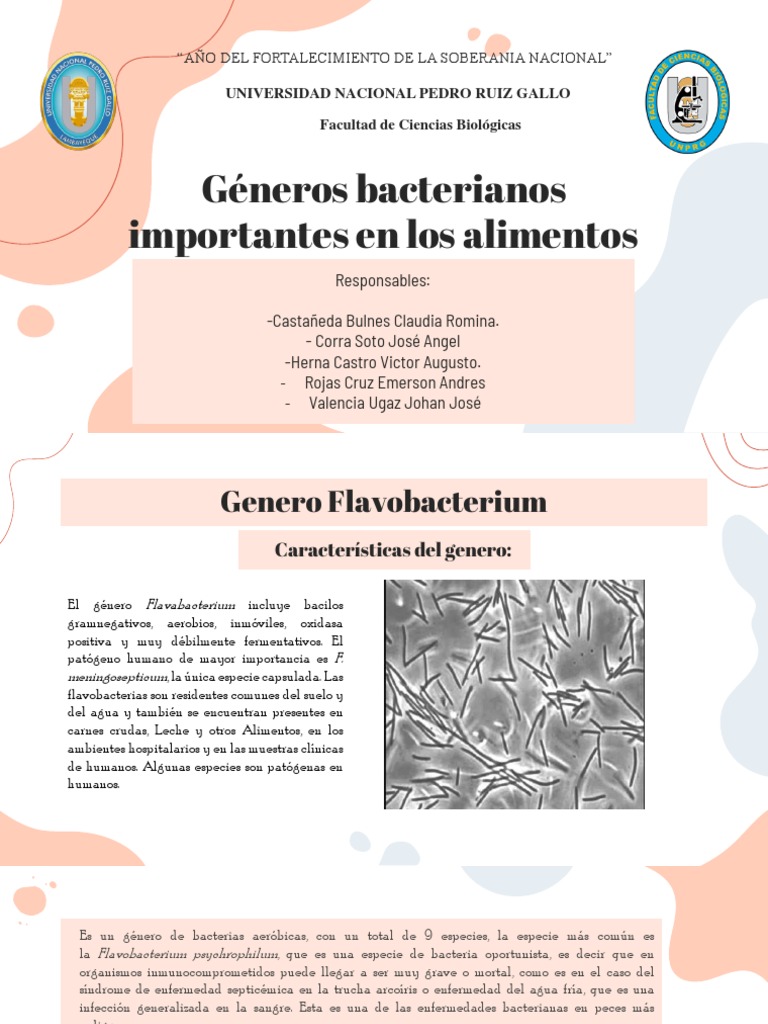 Generos Bacterianos Importantes en Los Alimentos | PDF | Pseudomonas ...