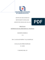 pGEM T and pGEM T Easy Vector Systems TM042 | PDF | Reacción en cadena ...