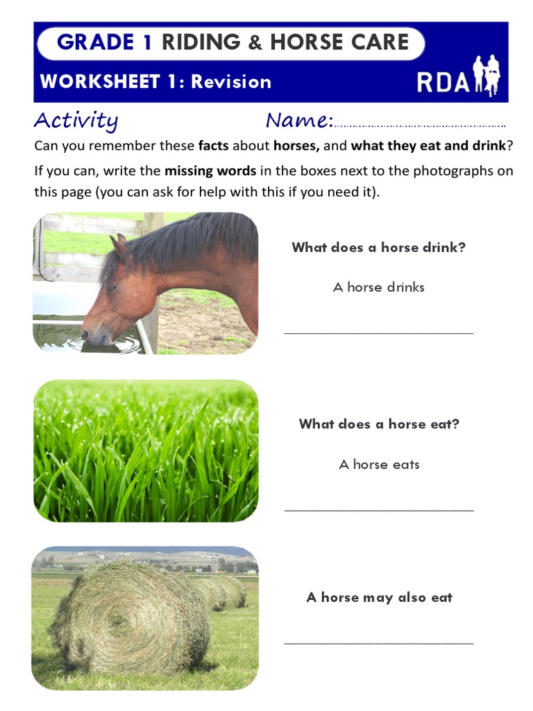 RDA Grade 1 2 3 Worksheets Riding Horse Care | Download Free PDF ...