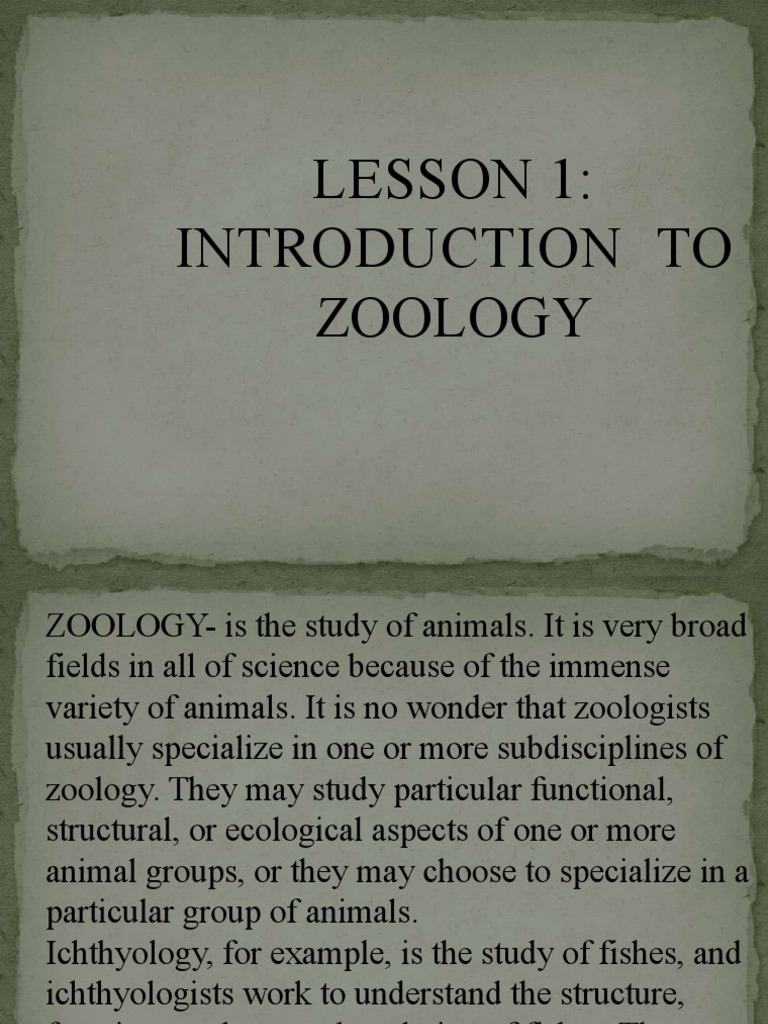 ZOOLOGY LESSON 1 Introductionbranchesofzoology | PDF | Zoology ...