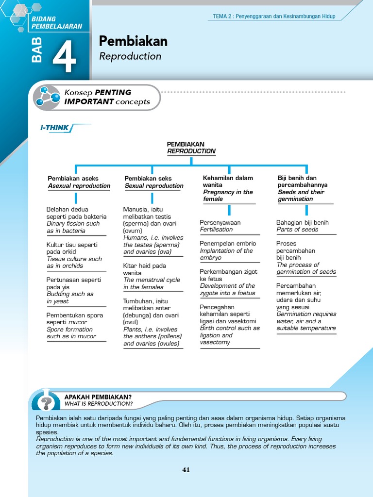 Bab 4 Tingkatan 1 Pdf