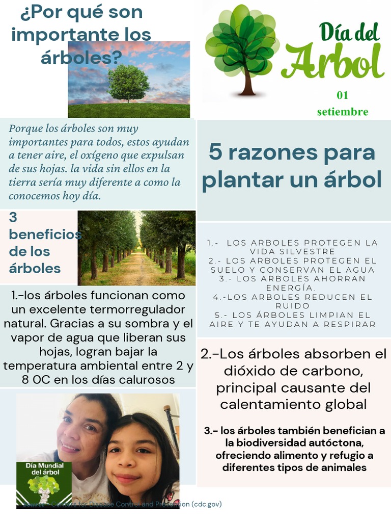 ¿Por Qué Son Importante Los Árboles | PDF