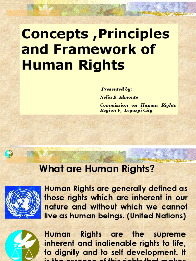 Human Rights Concepts Principles Framework | PDF | Human Rights ...